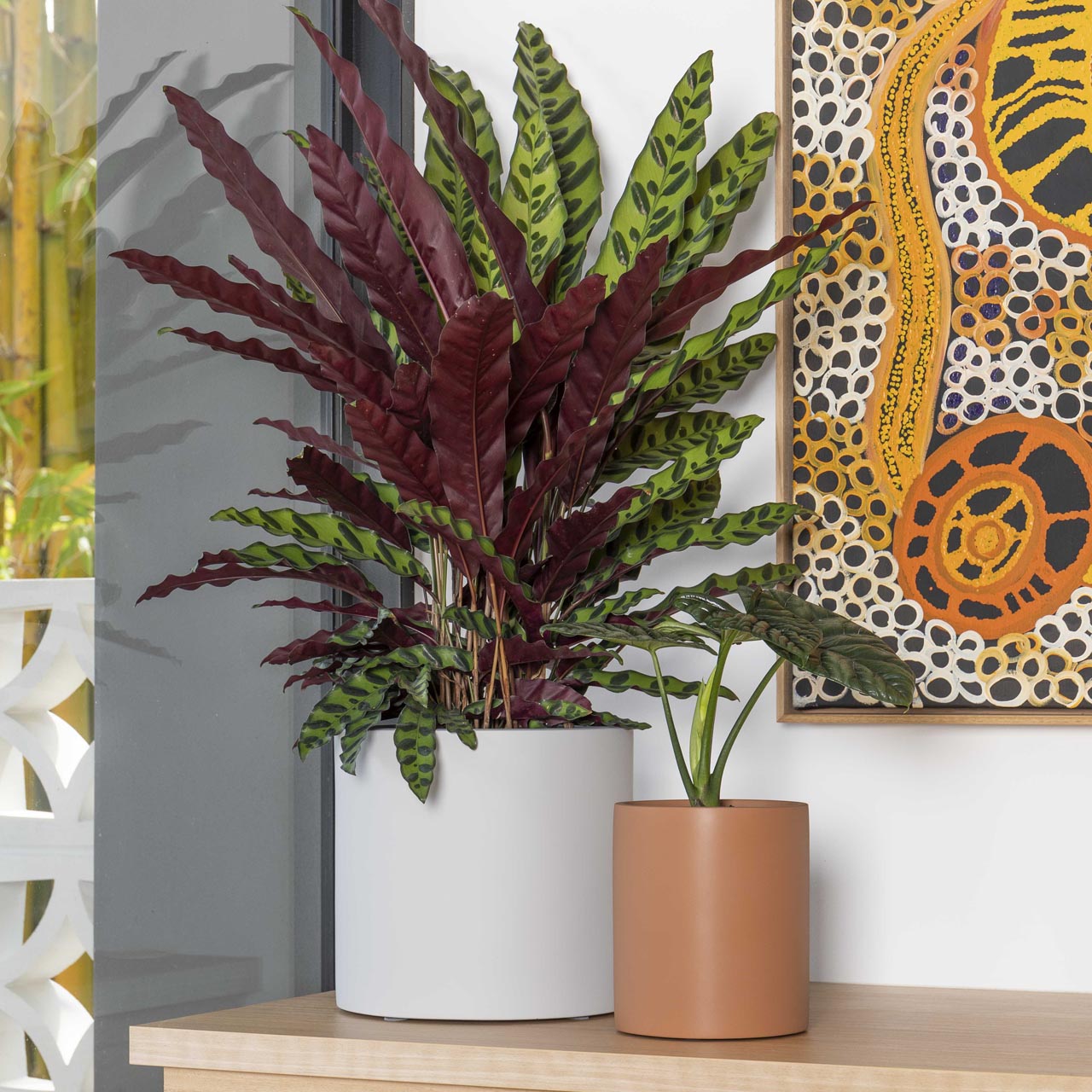 Mini & Table Top Planters – B2B Just Add Plants